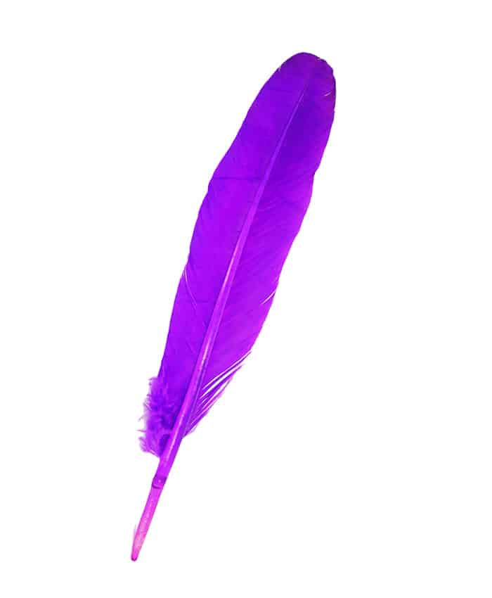 Pluma Morada - ProMystical tu tienda Mística y Espiritual
