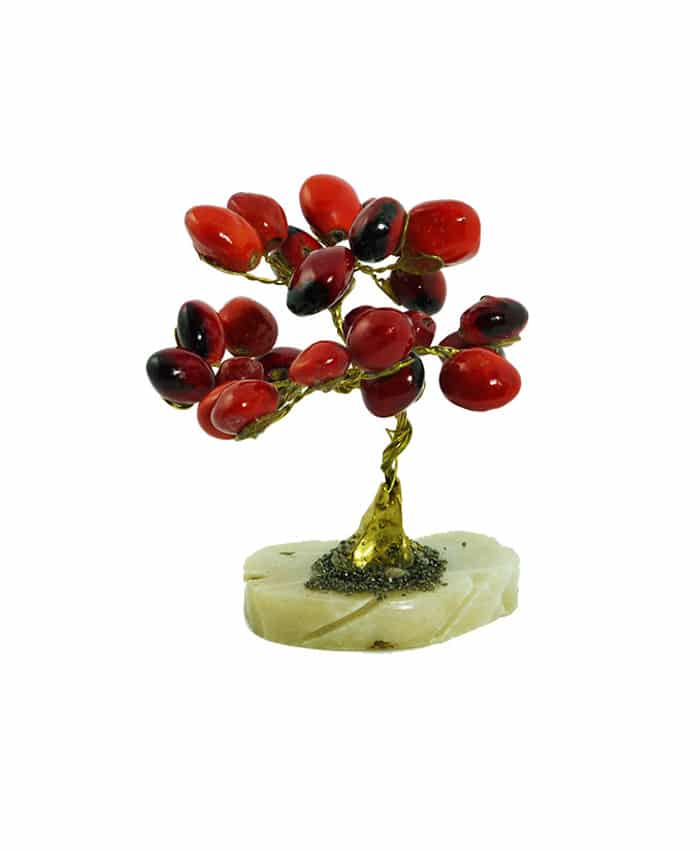 Arbol de Huayruro - ProMystical tu tienda Mística y Espiritual